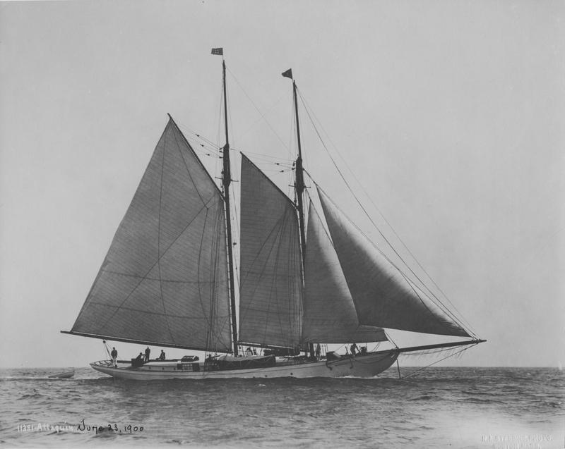 Attaquin | MIT Museum