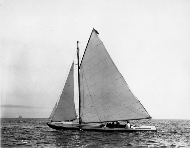Lorelei | MIT Museum