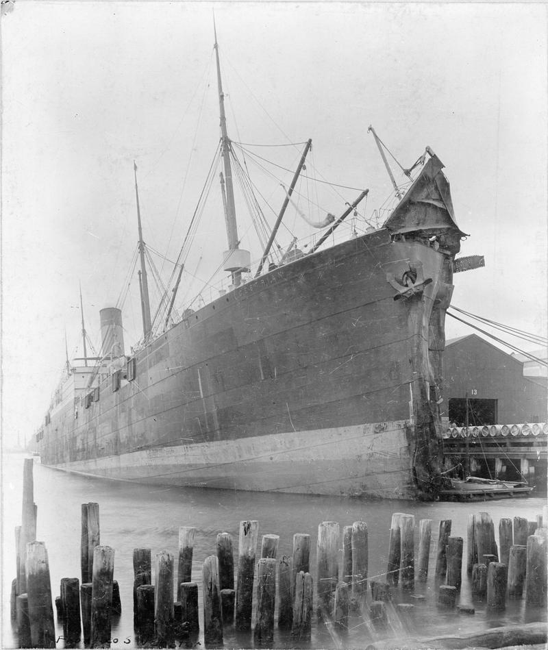 Cestrian | MIT Museum